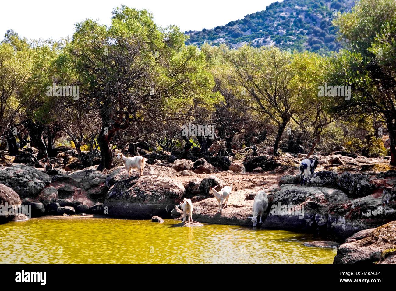 Golgo plateau hi-res stock photography and images - Alamy