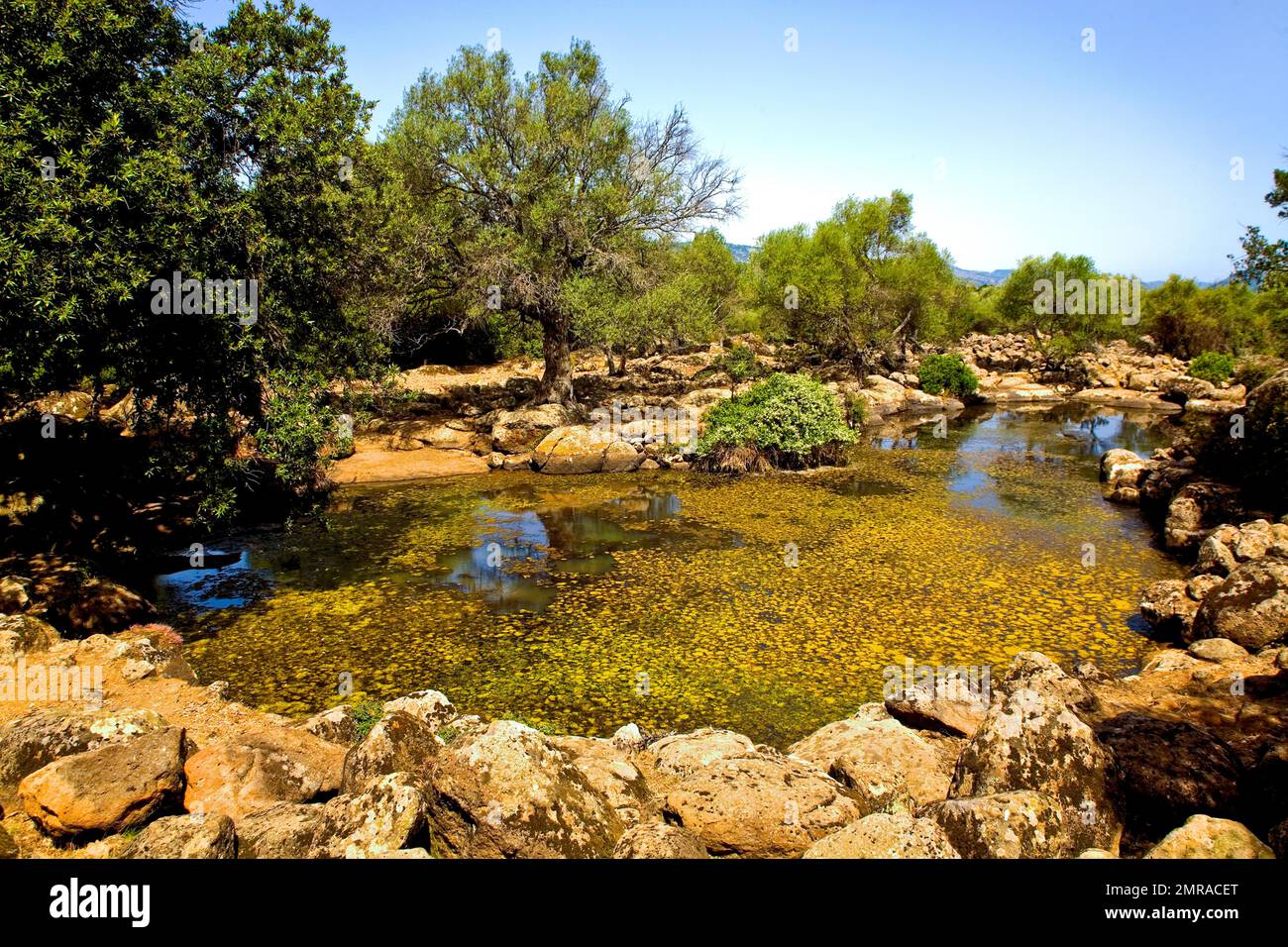 Golgo plateau hi-res stock photography and images - Alamy