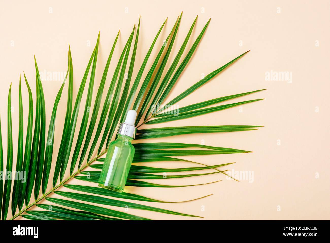 Green facial skin care cosmetic bottle on palm leaf. Top view, flat lay ...