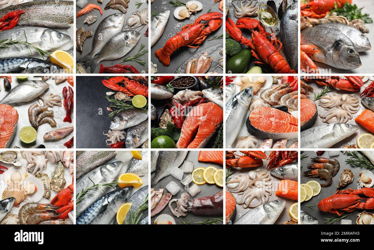 Collage with various fresh fishes and seafood Stock Photo - Alamy