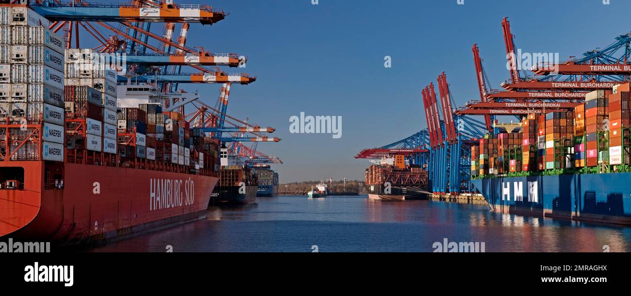 Container ships at the Eurogate and Burchardkai container terminals ...