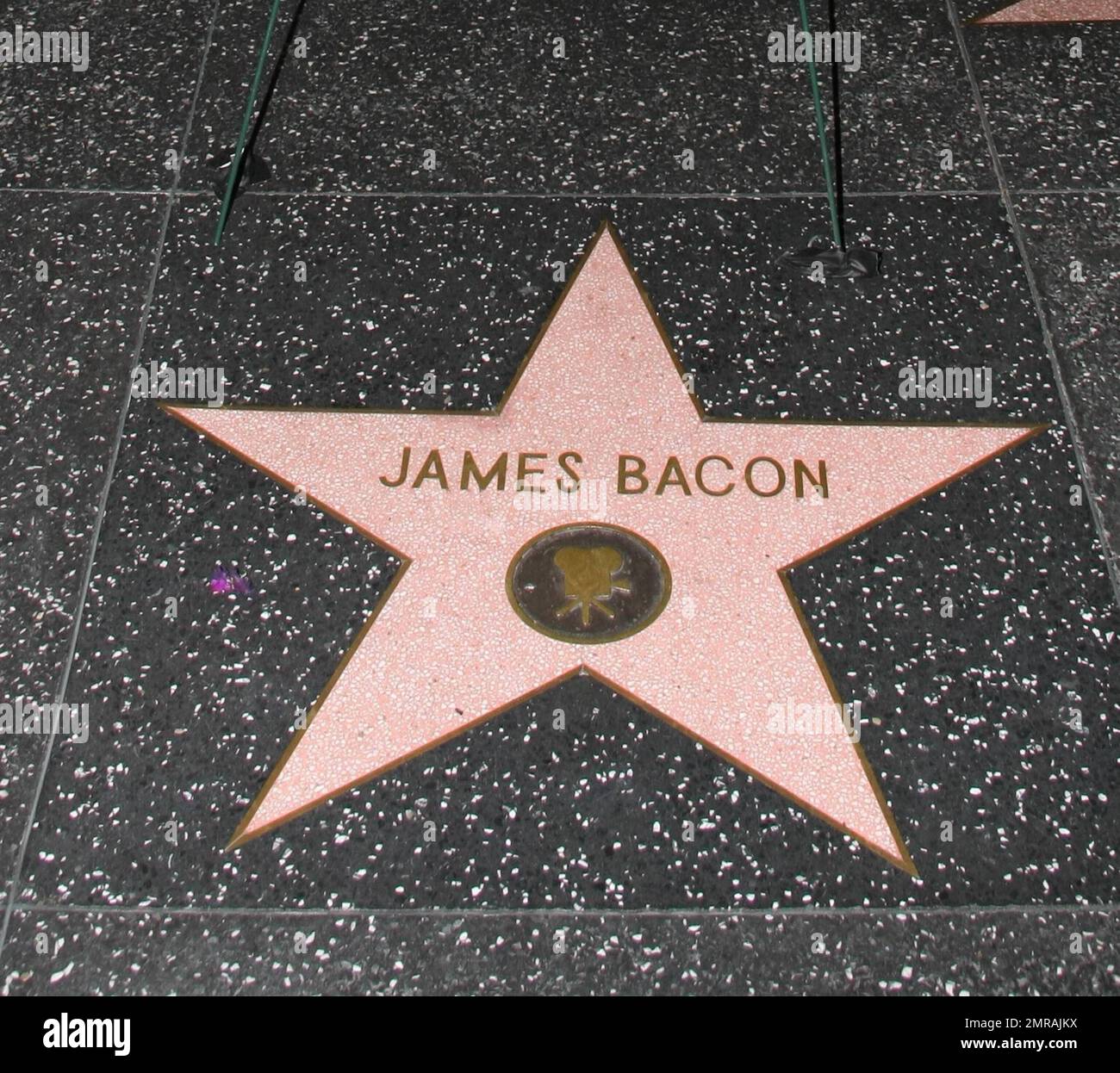 The Hollywood Walk of Fame star dedicated to American author ...