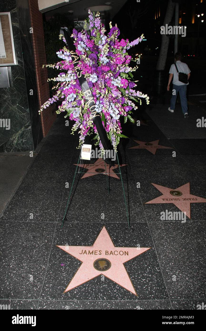 The Hollywood Walk of Fame star dedicated to American author ...
