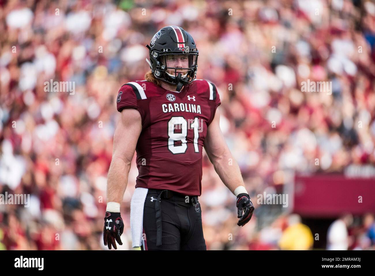 South Carolina tight end Hayden Hurst (81) prepares for a play during ...