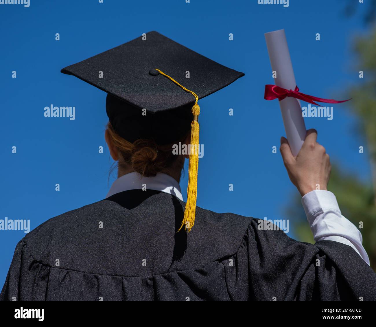 Rear view of caucasian woman in graduate gown holding diploma against ...