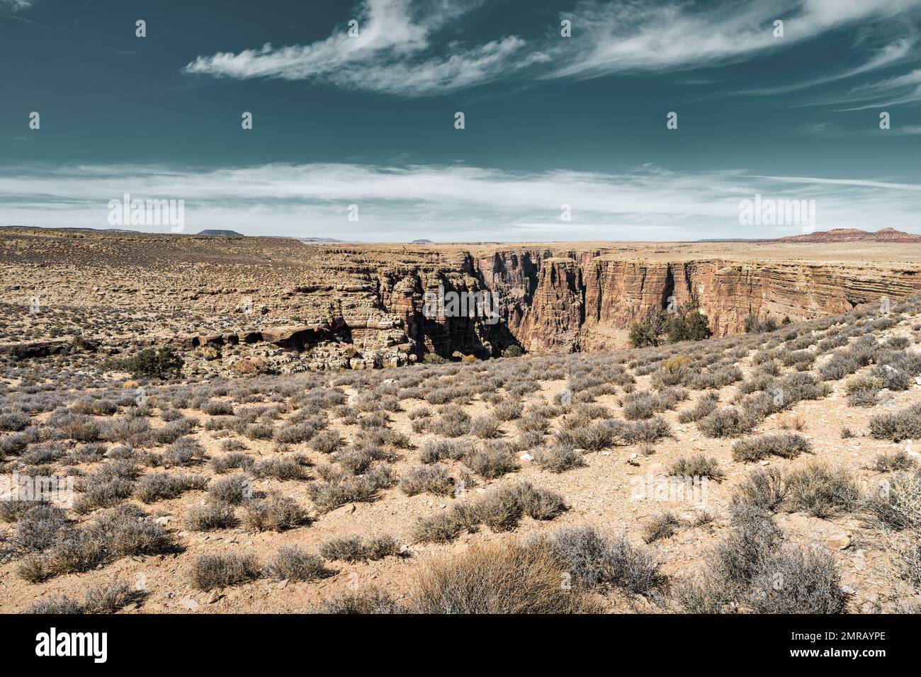 Little Colorado River Gorge, near Cameron, Arizona, USA Stock Photo - Alamy