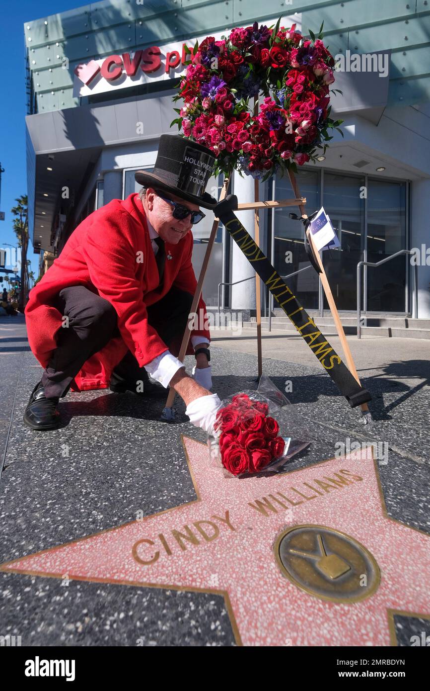 Greg Donovan places flowers at the star of Cindy Williams on the ...