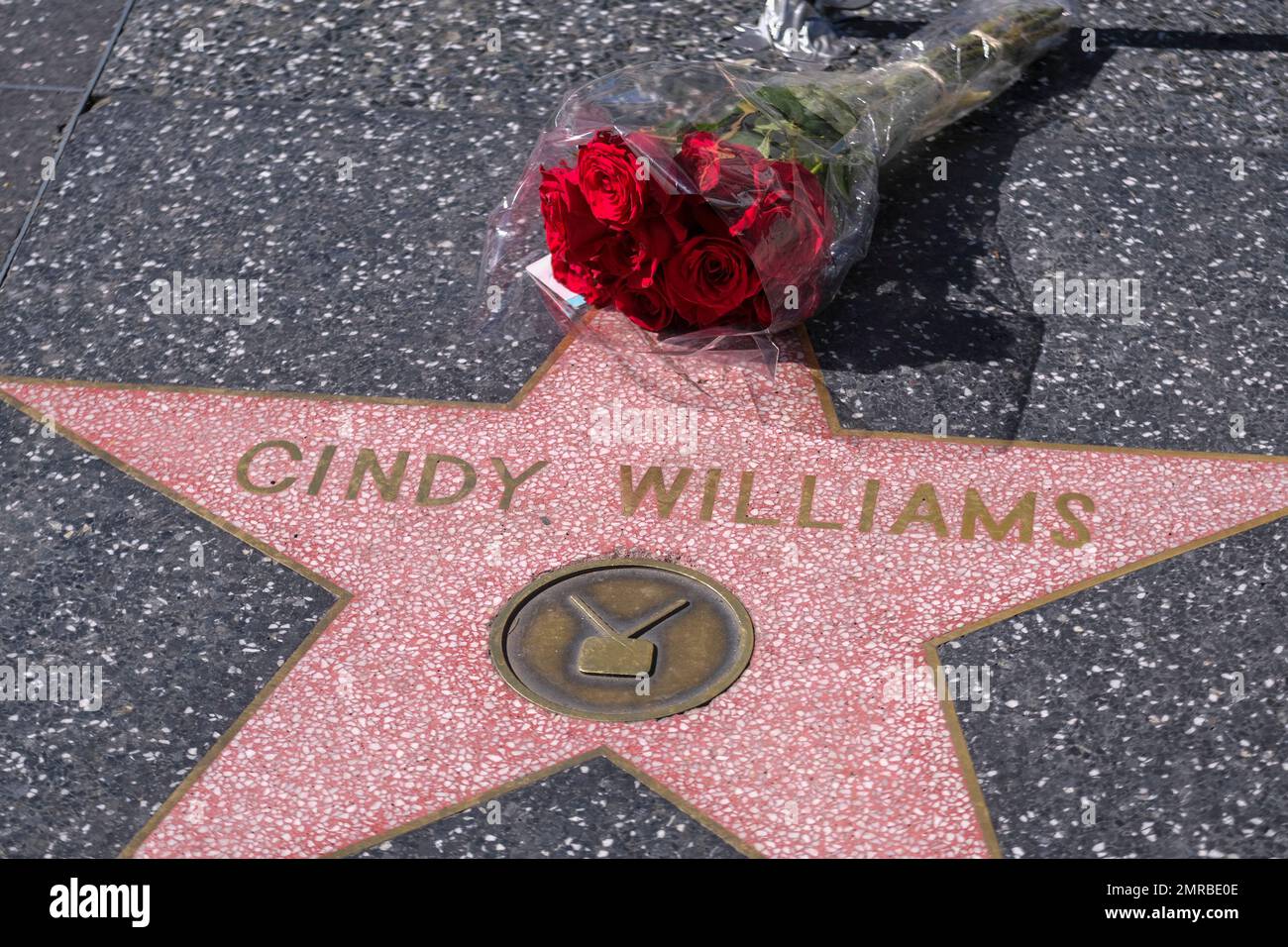 Los Angeles, United States. 31st Jan, 2023. Flowers are laid at the ...