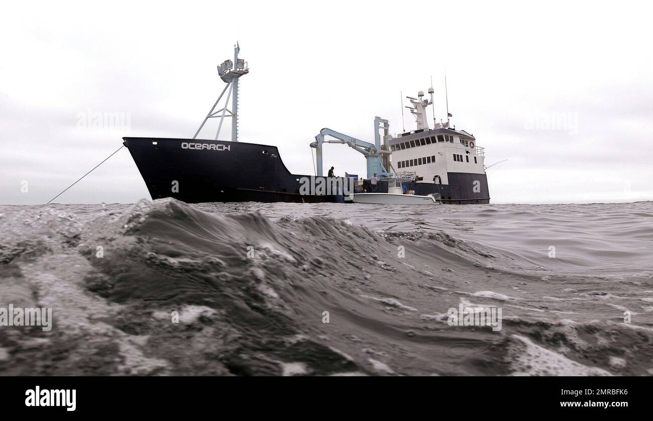 FILE - In this Sept. 7, 2012 file photo, the research vessel Ocearch ...