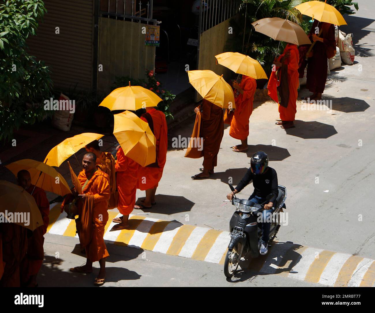 A motorbike passes Buddhist monks as they collect alms from devotees in ...