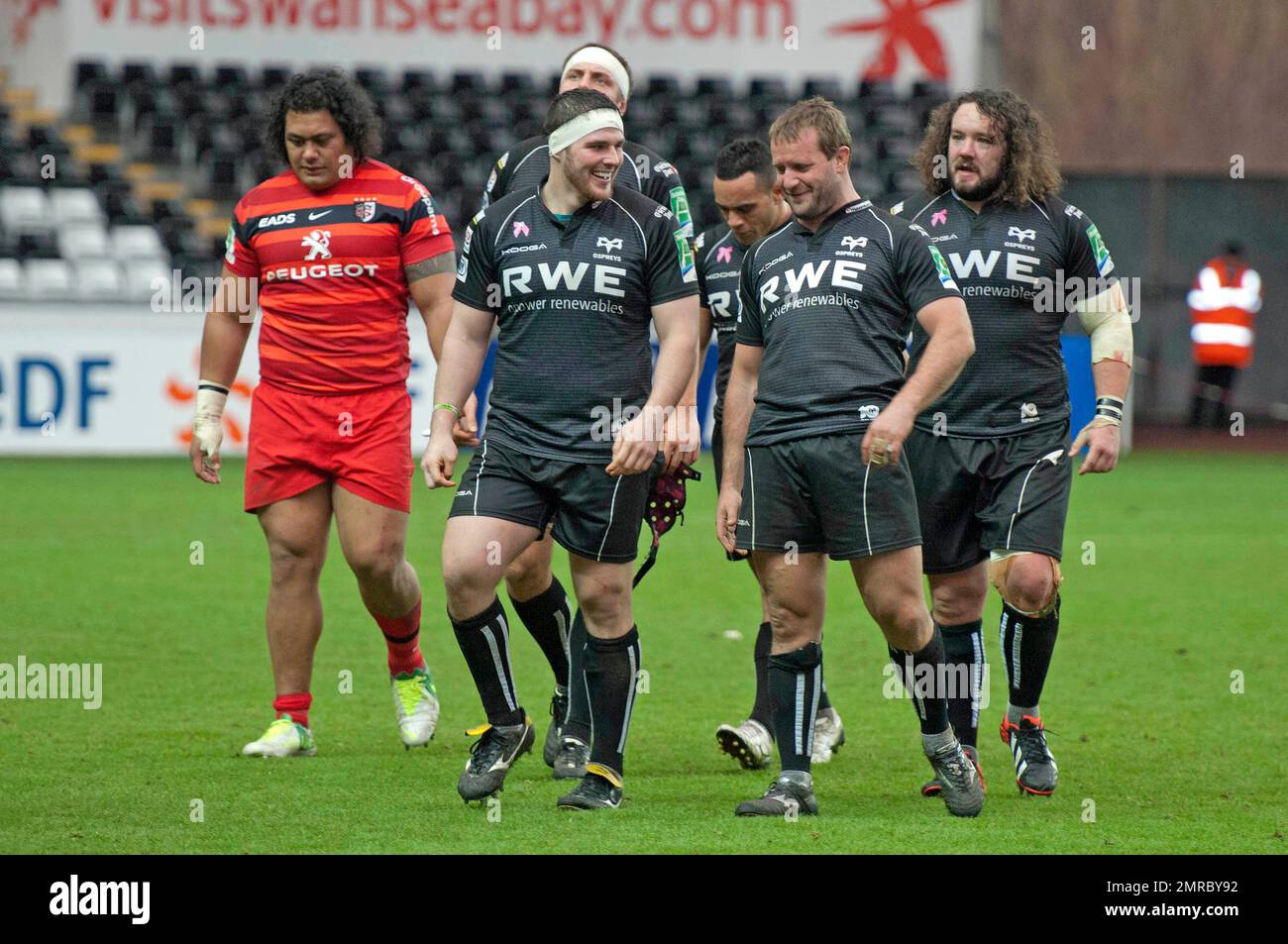 Ospreys rugby campbell johnstone hi-res stock photography and images ...