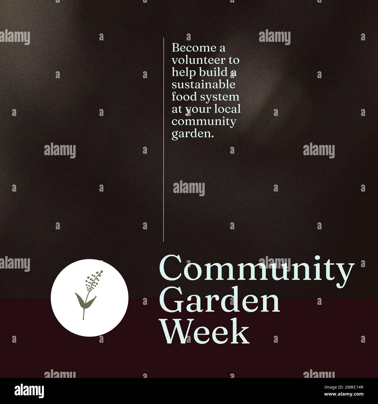Composition of community garden week text and copy space on black ...