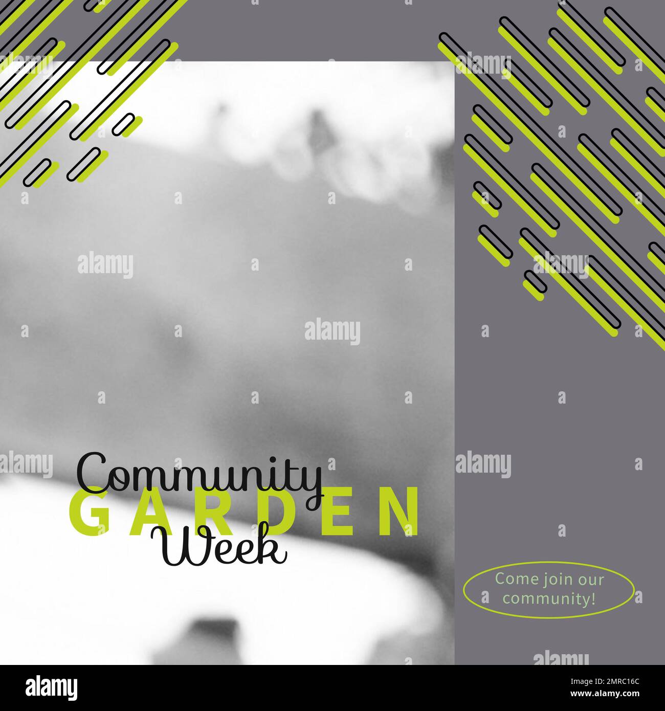 Composition of community garden week text and copy space on grey ...