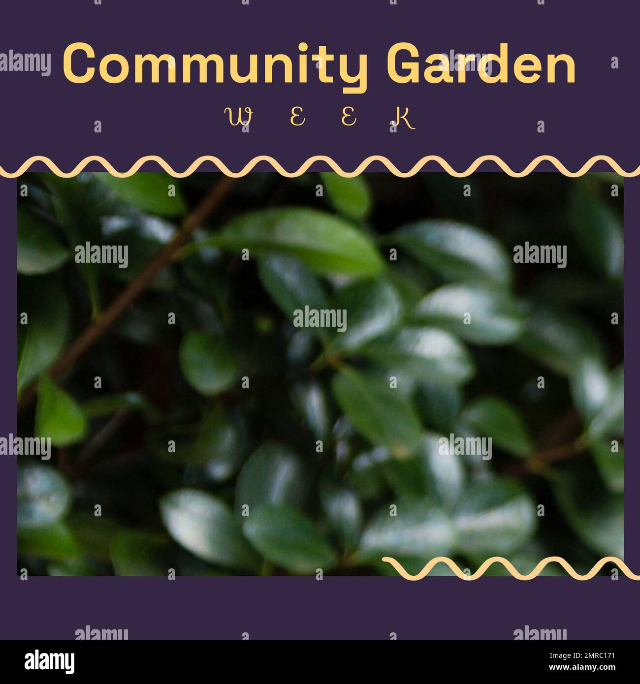 Composition of community garden week text and copy space on plants ...