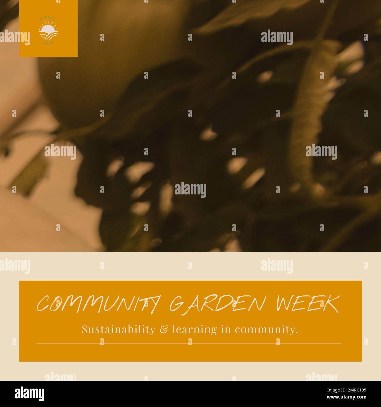 Composition of community garden week text and copy space on plants ...