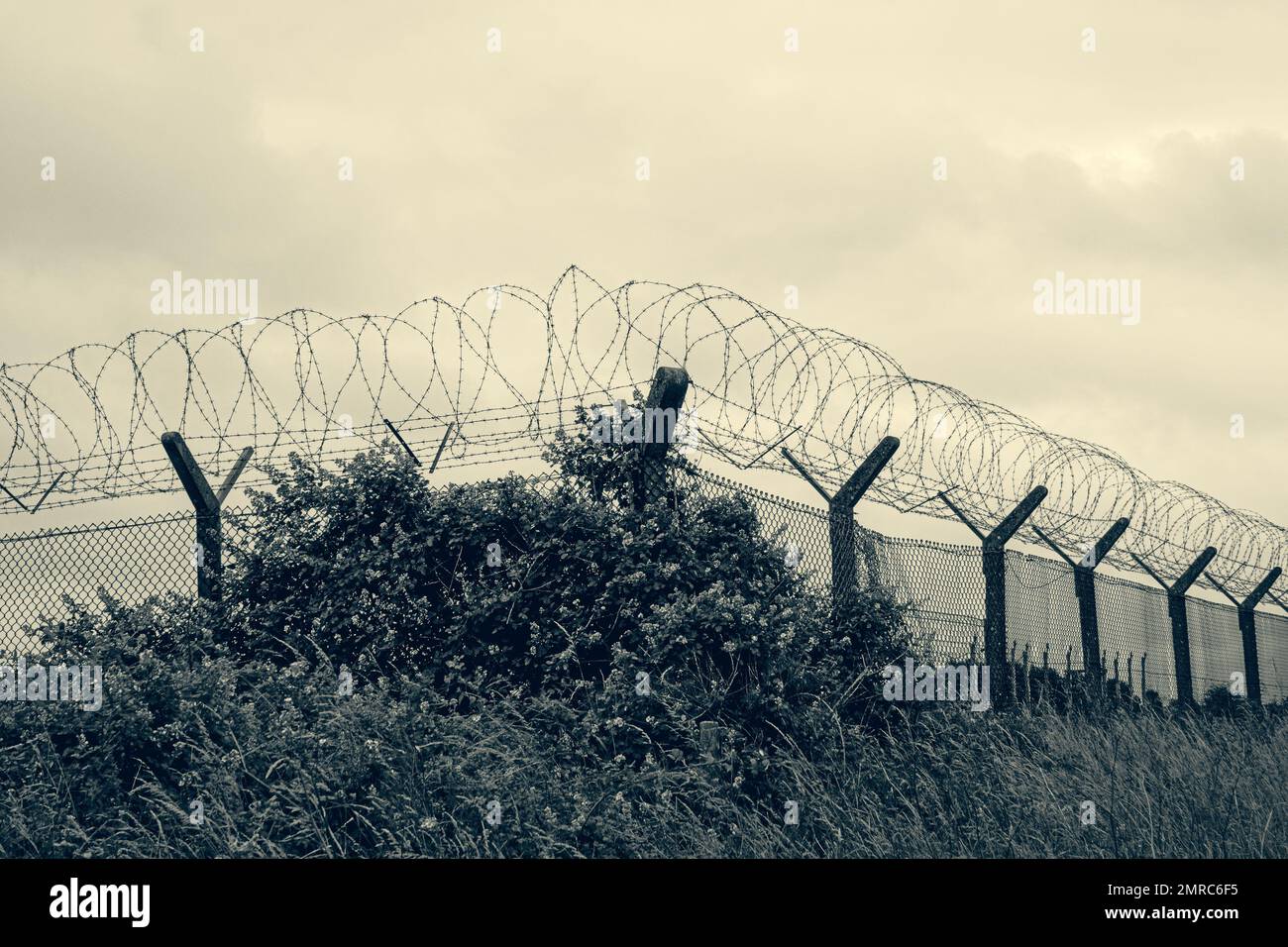 A razor wire topped perimeter fencing at an abandonned military base ...