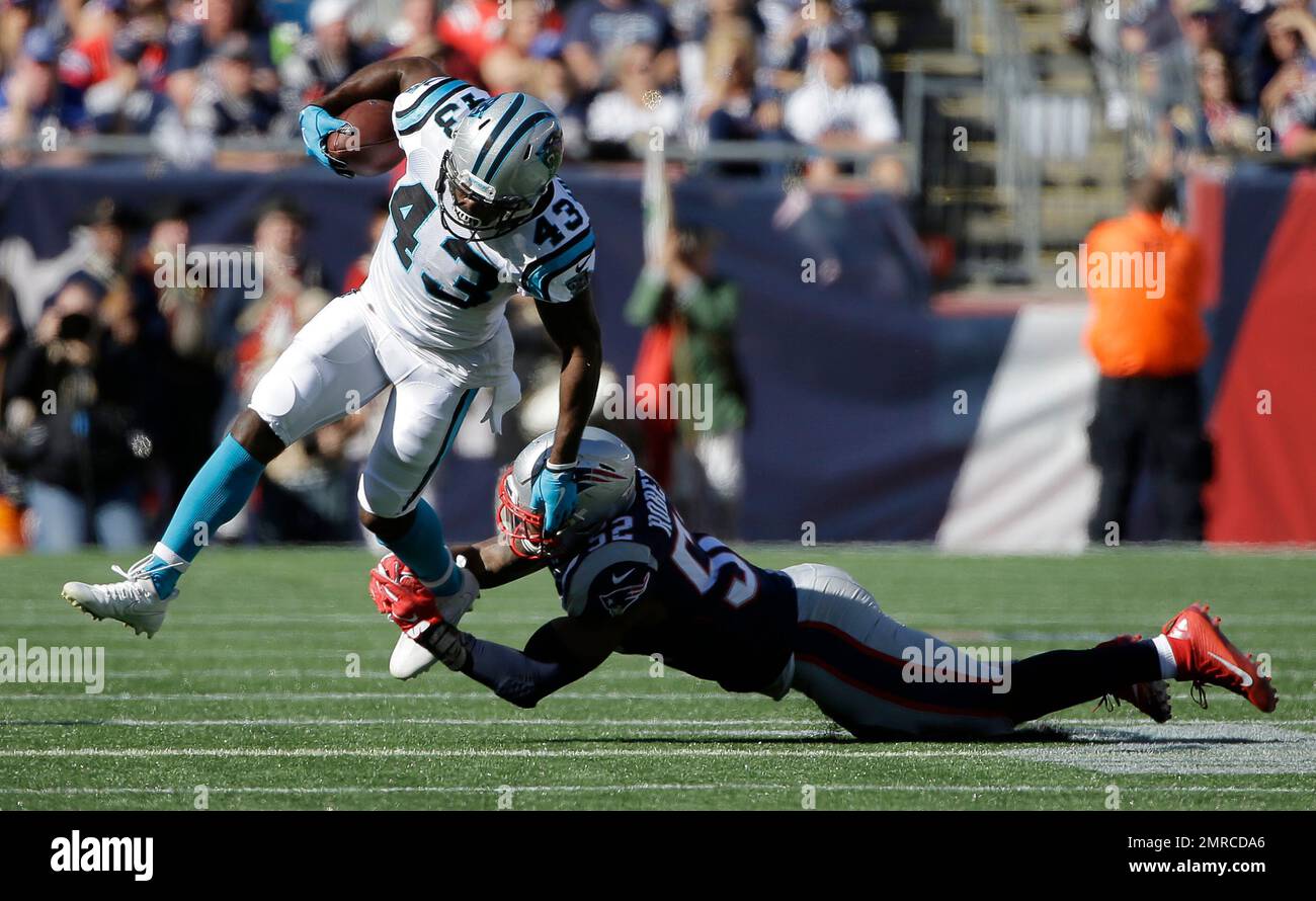 Carolina Panthers running back Fozzy Whittaker (43) tries to elude New ...