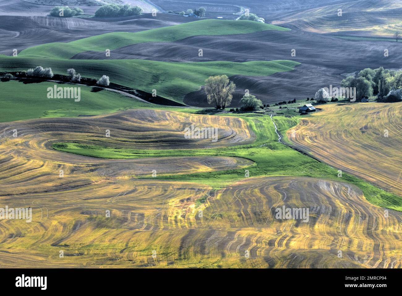 A beautiful scene of nature with yellow and green valleys with trees ...