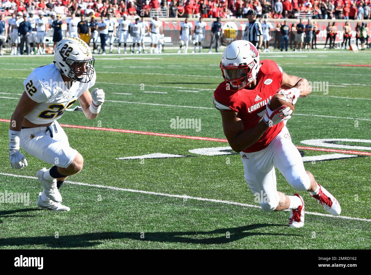 Louisville's Reggie Bonnafon (7) attempts to avoid the rush of Murray ...