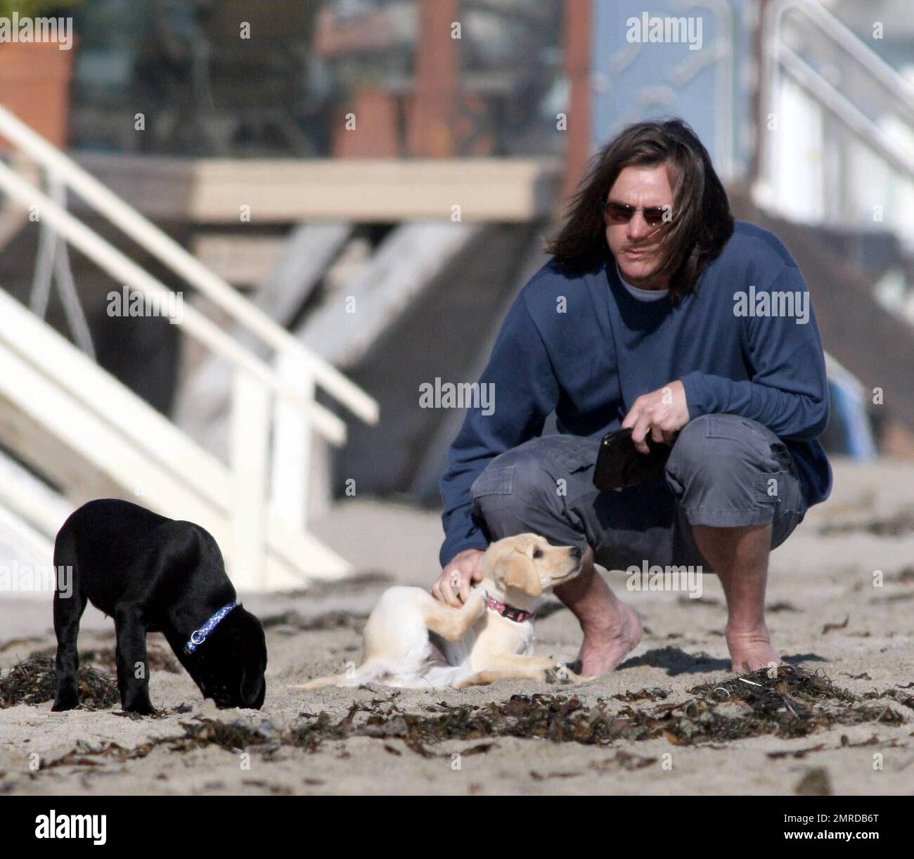 Jim Carrey has his hands full with two new bundles of joy. His puppies ...