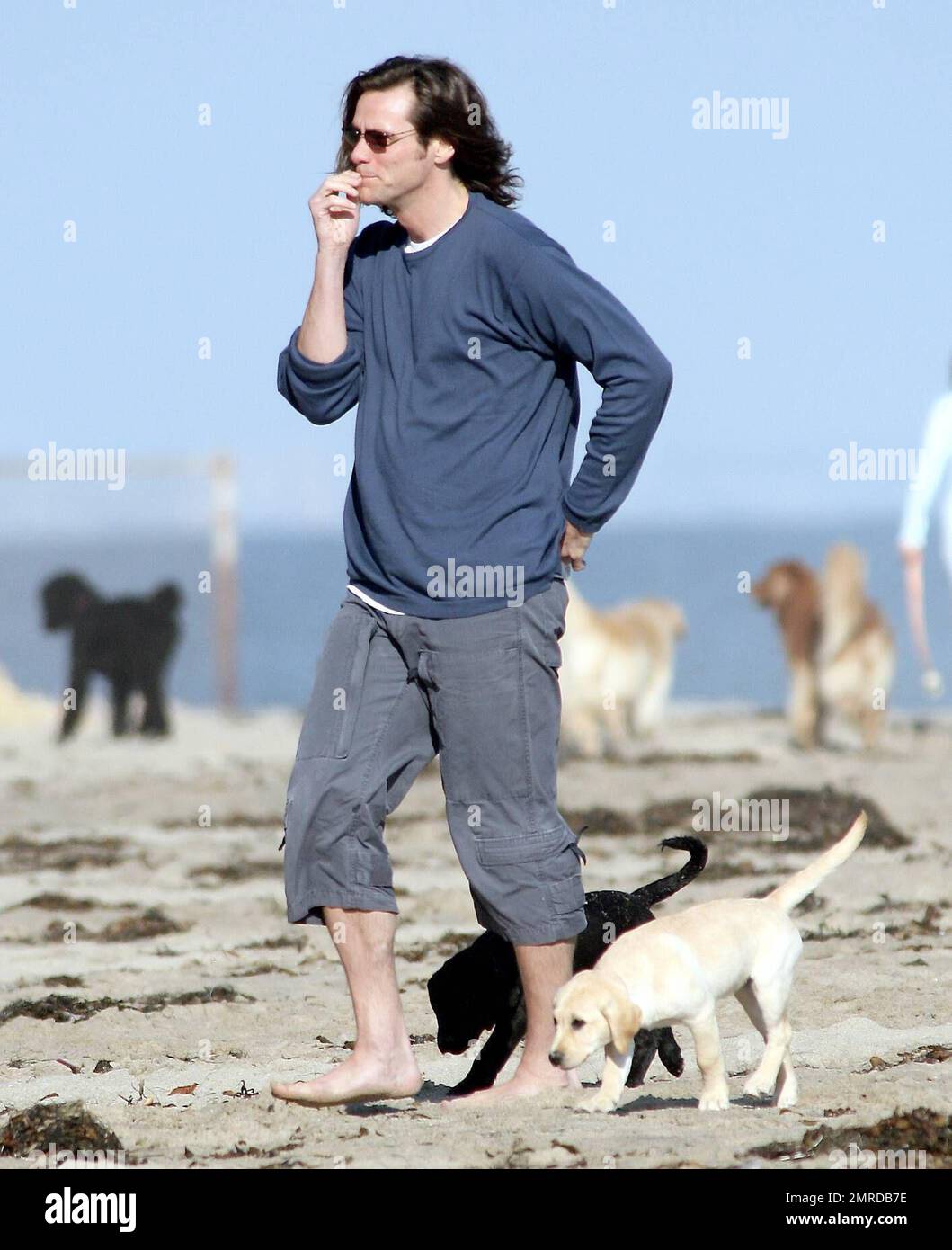 Jim carrey with dog hi-res stock photography and images - Alamy