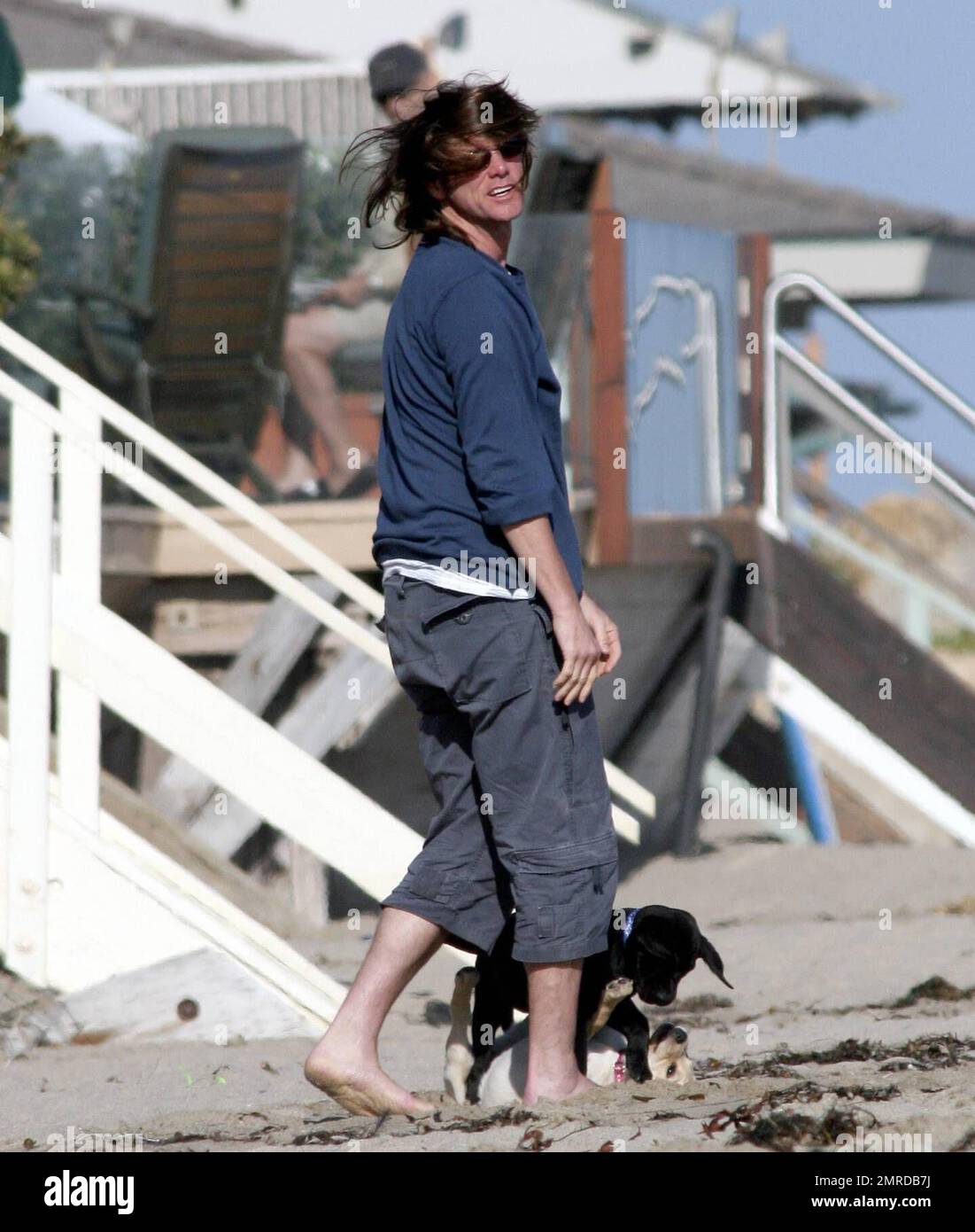 Jim Carrey has his hands full with two new bundles of joy. His puppies ...