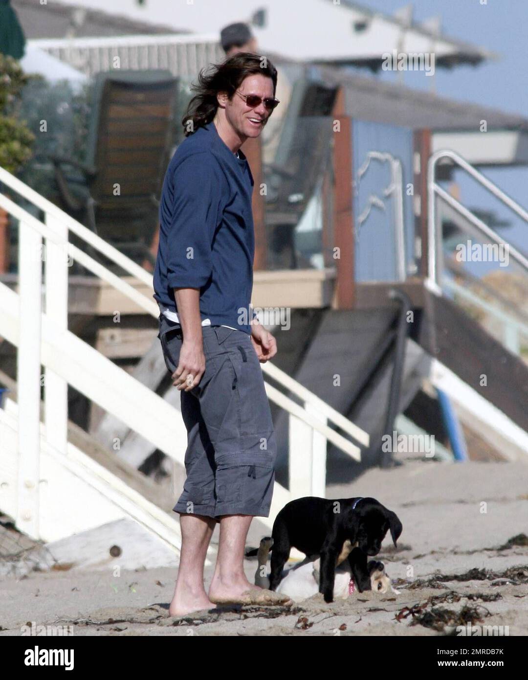 Jim Carrey has his hands full with two new bundles of joy. His puppies ...