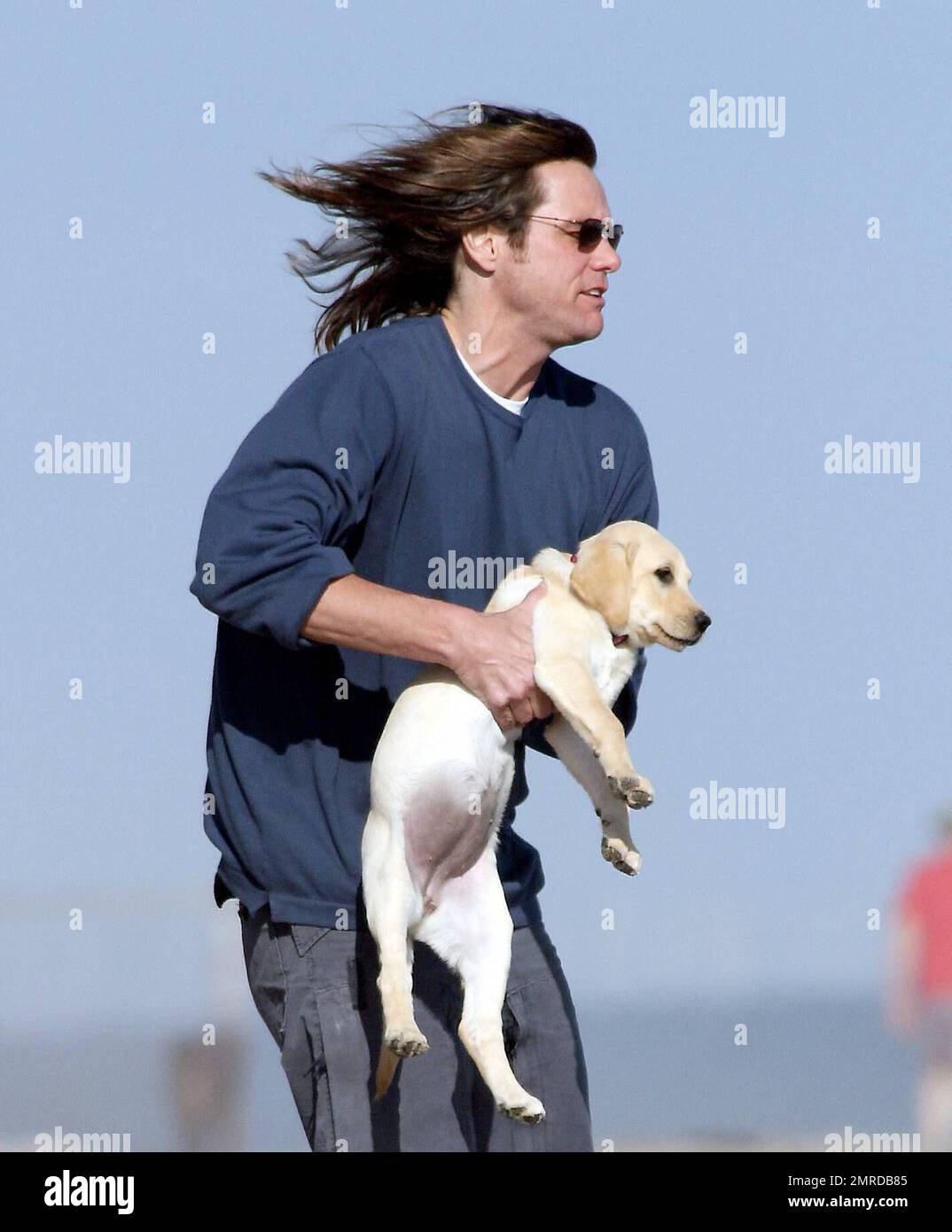 Jim Carrey has his hands full with two new bundles of joy. His puppies ...
