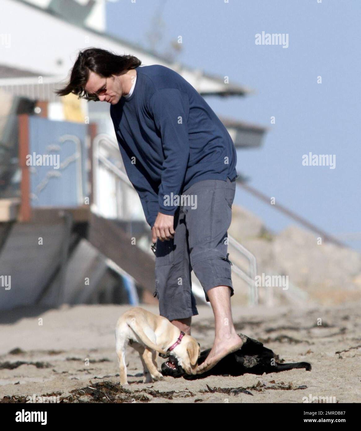 Jim Carrey has his hands full with two new bundles of joy. His puppies ...