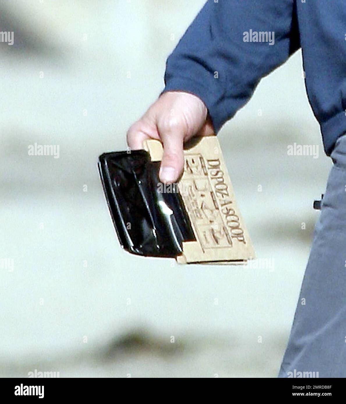 Jim Carrey has his hands full with two new bundles of joy. His puppies ...