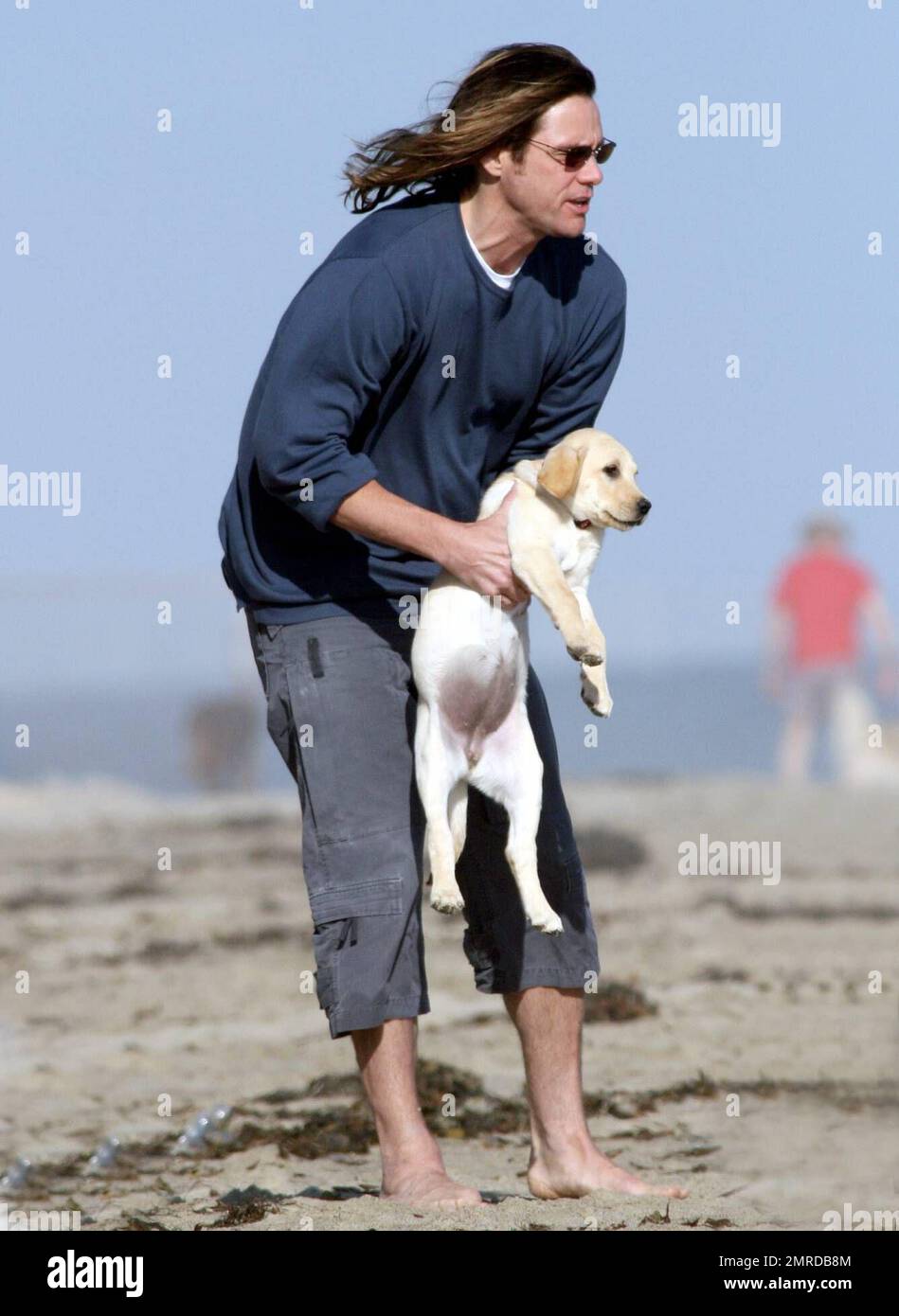 Jim Carrey has his hands full with two new bundles of joy. His puppies ...