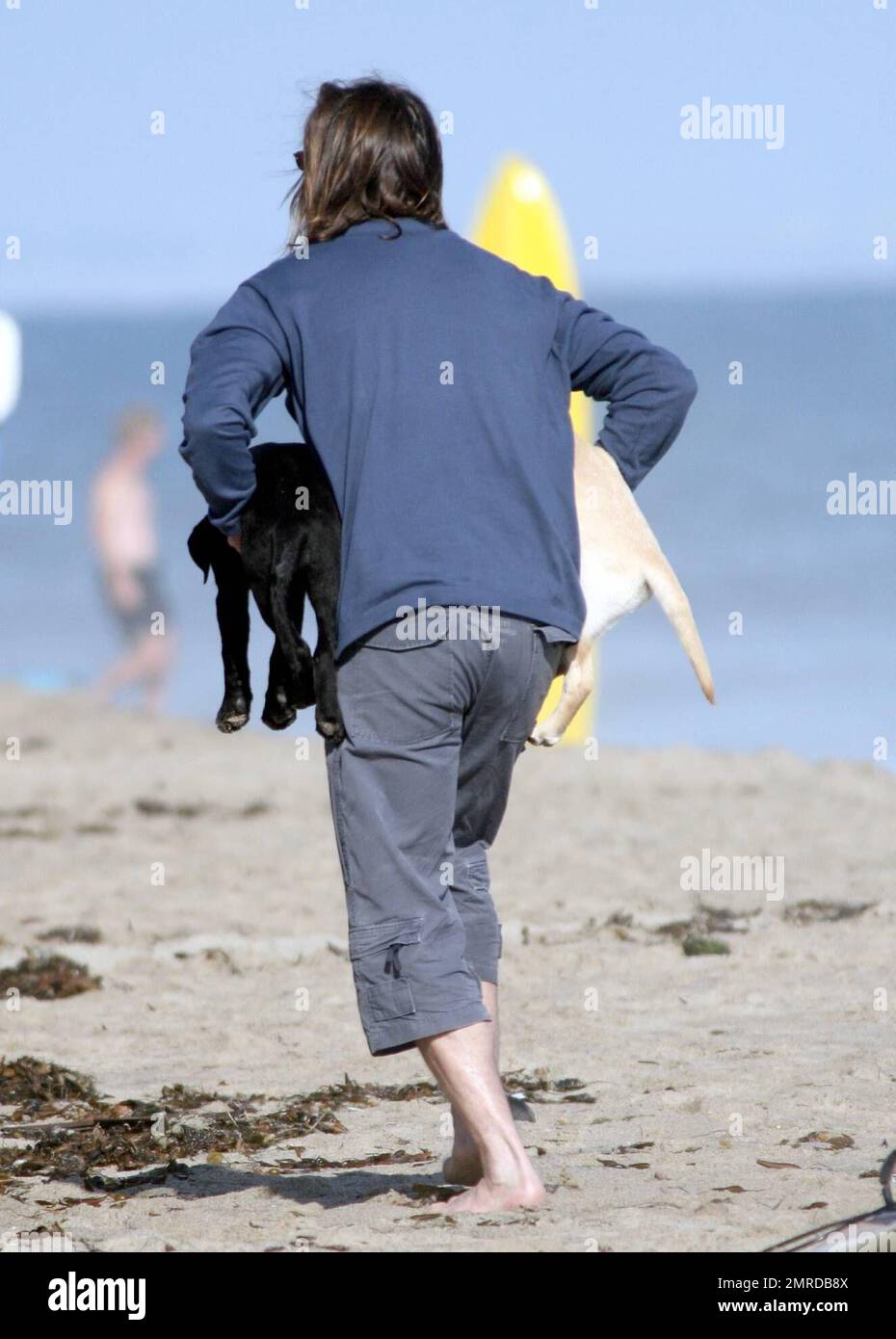 Jim Carrey has his hands full with two new bundles of joy. His puppies ...