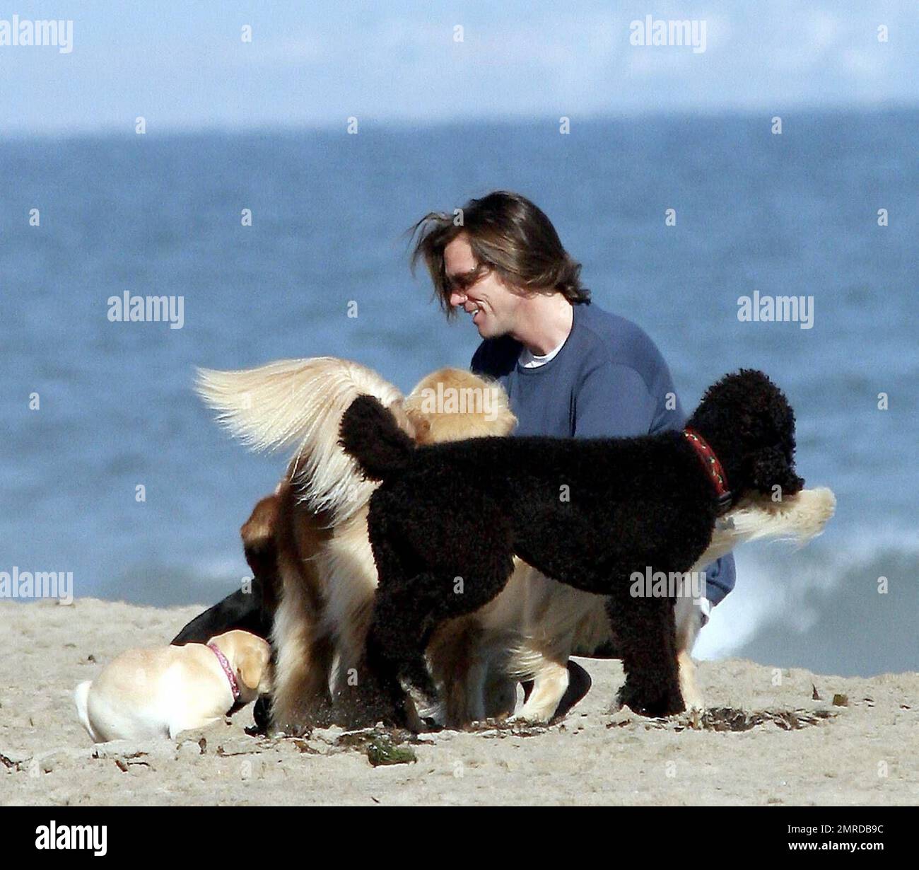 Jim Carrey has his hands full with two new bundles of joy. His puppies ...