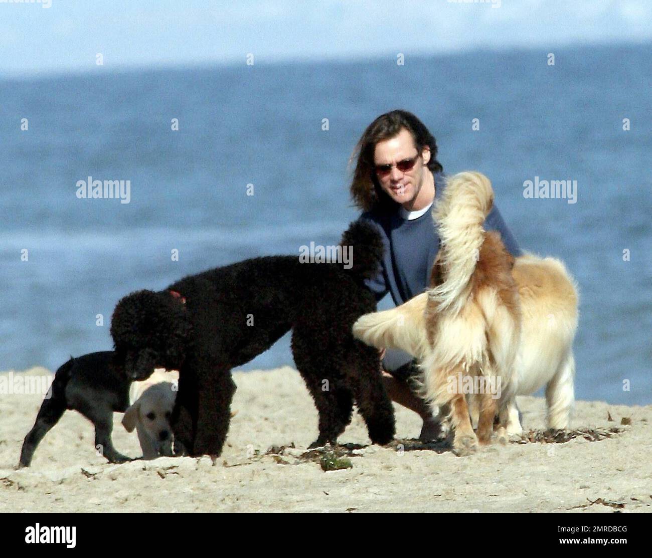 Jim Carrey has his hands full with two new bundles of joy. His puppies ...