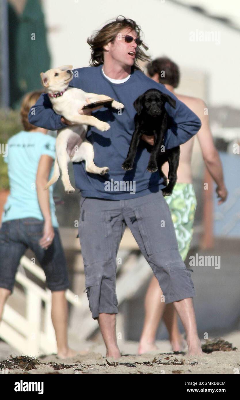 Jim Carrey has his hands full with two new bundles of joy. His puppies ...
