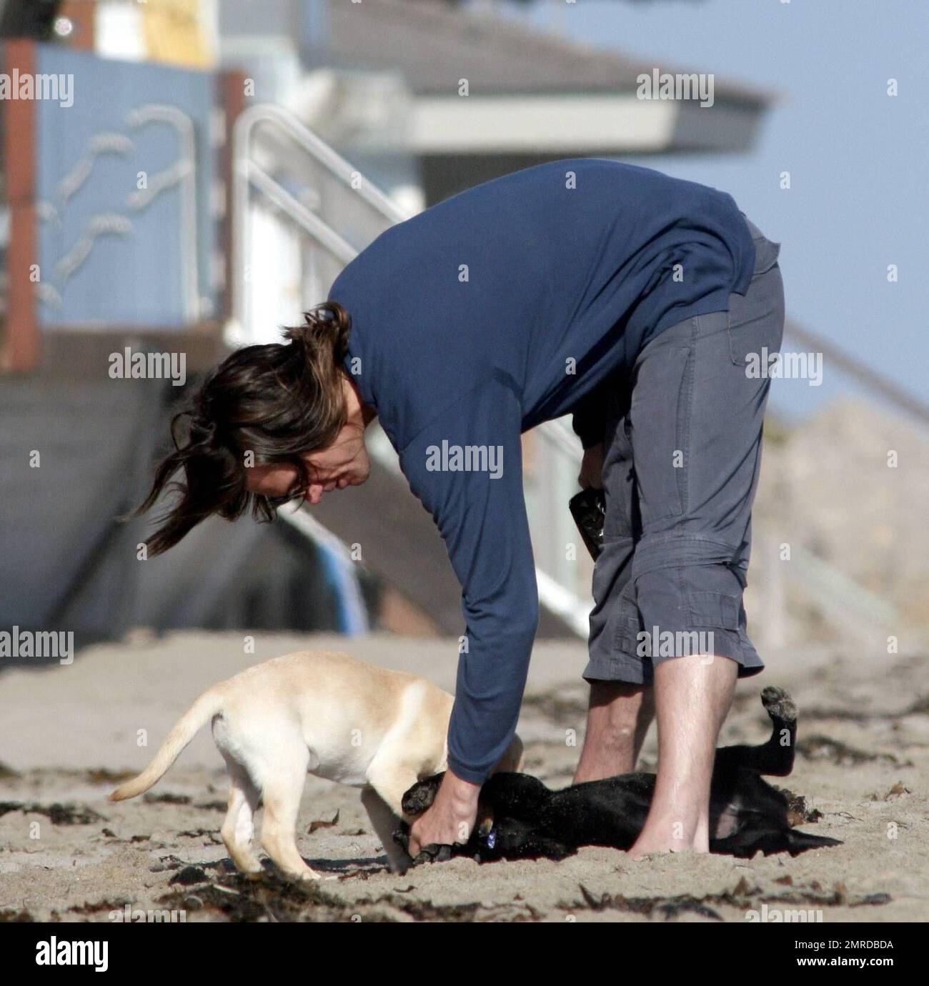 Jim carrey with dog hi-res stock photography and images - Alamy