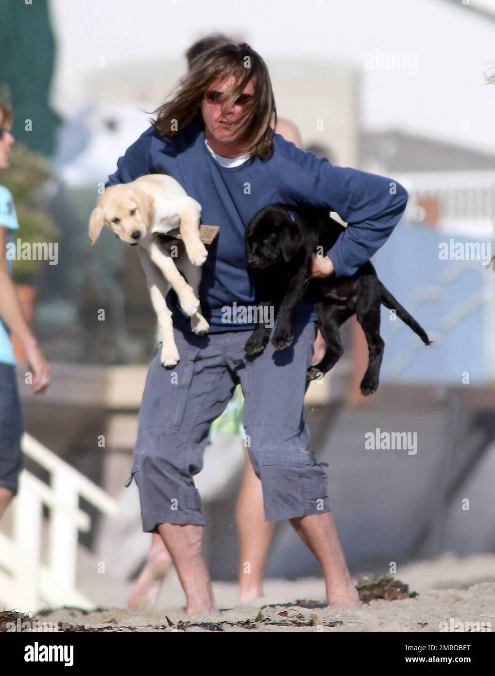 Jim Carrey has his hands full with two new bundles of joy. His puppies ...