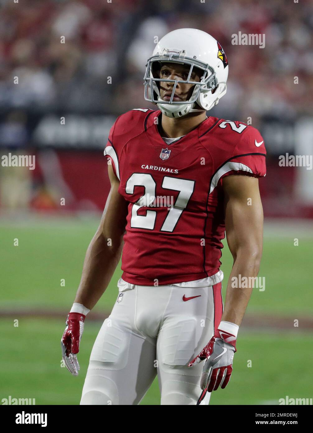 Arizona Cardinals strong safety Tyvon Branch (27) during an NFL ...
