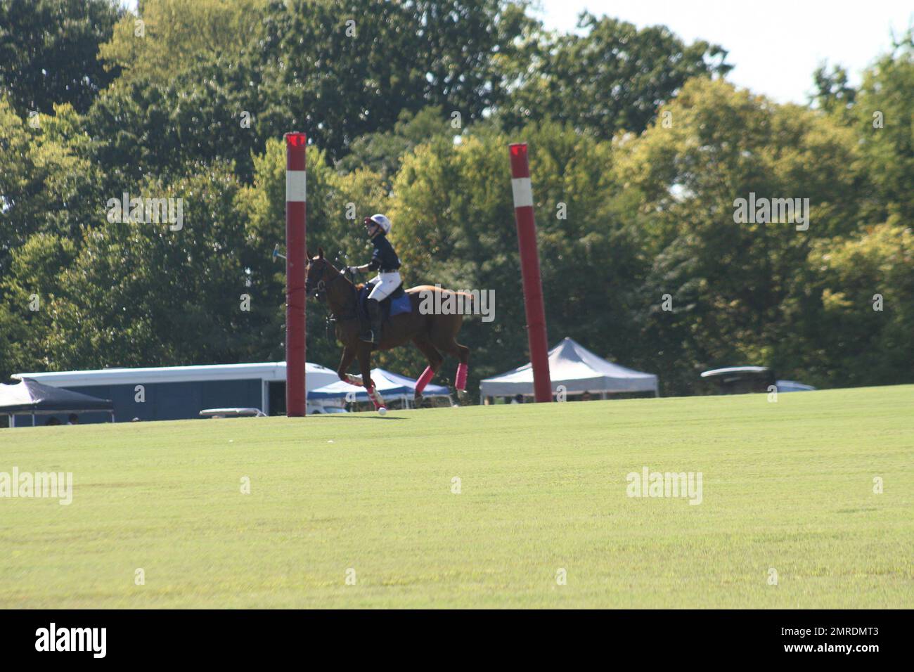 Danis Pediatrics charity Polo Match at August Busch Polo Fields in ...