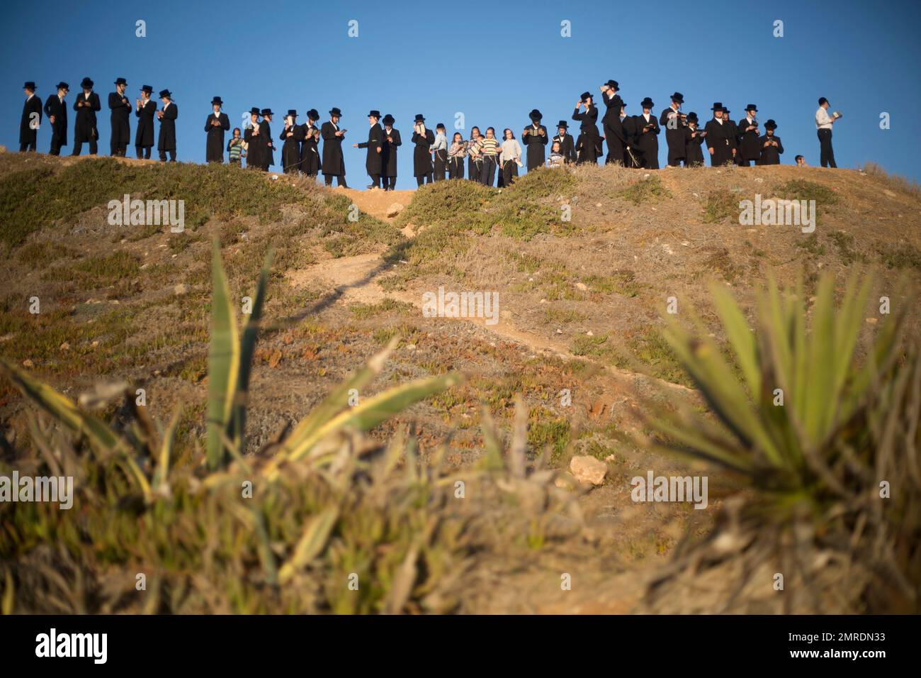 Ultra-Orthodox Jewish men of the Vizhnitz Hassidic sect pray on a hill ...