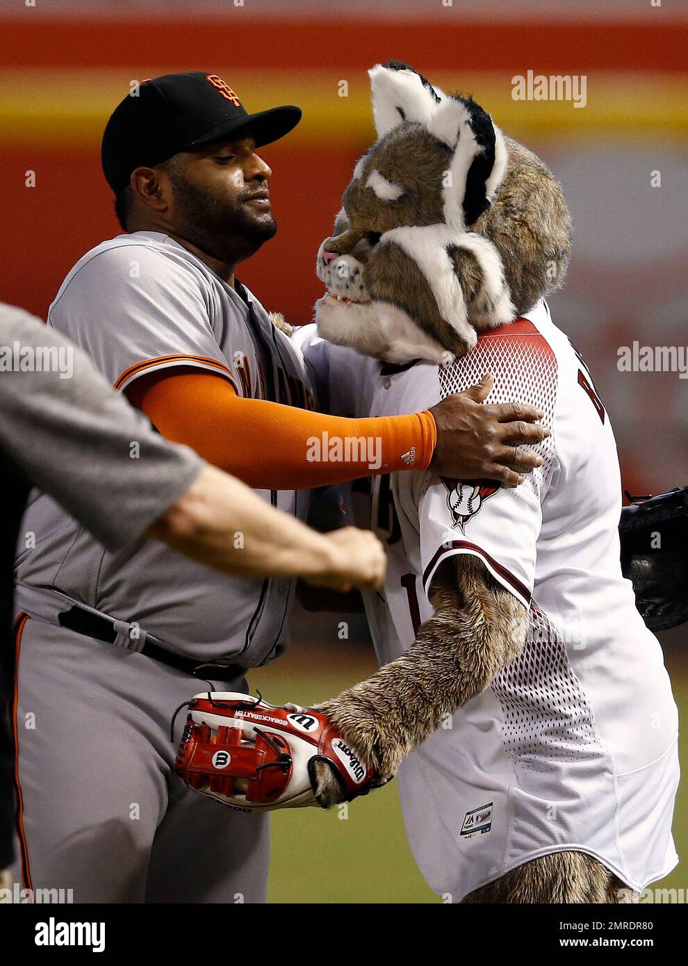Diamondbacks Mascot
