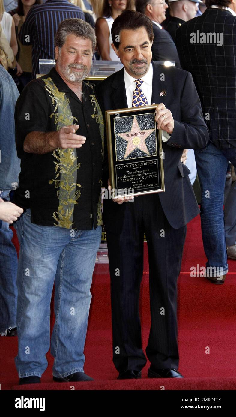 Actor Joe Montegna receives his star on the Hollywood Walk of Fame ...