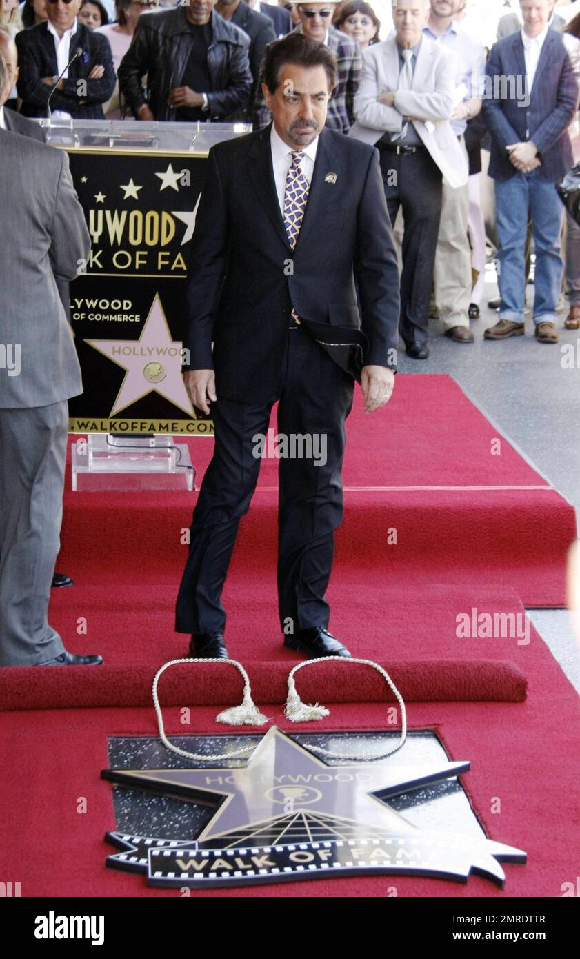 Actor Joe Montegna receives his star on the Hollywood Walk of Fame ...