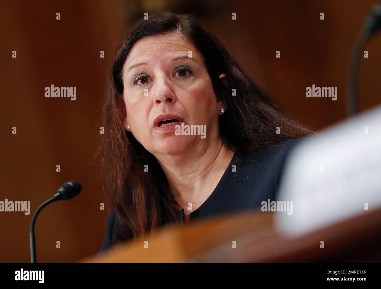 Acting Director of Homeland Security Elaine Duke testifying before the ...