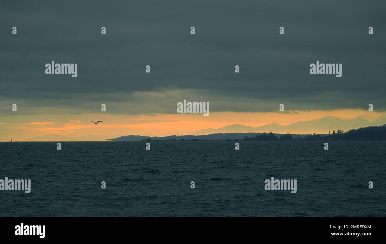 Backlight seascape with seagull and navigation mark Stock Photo - Alamy