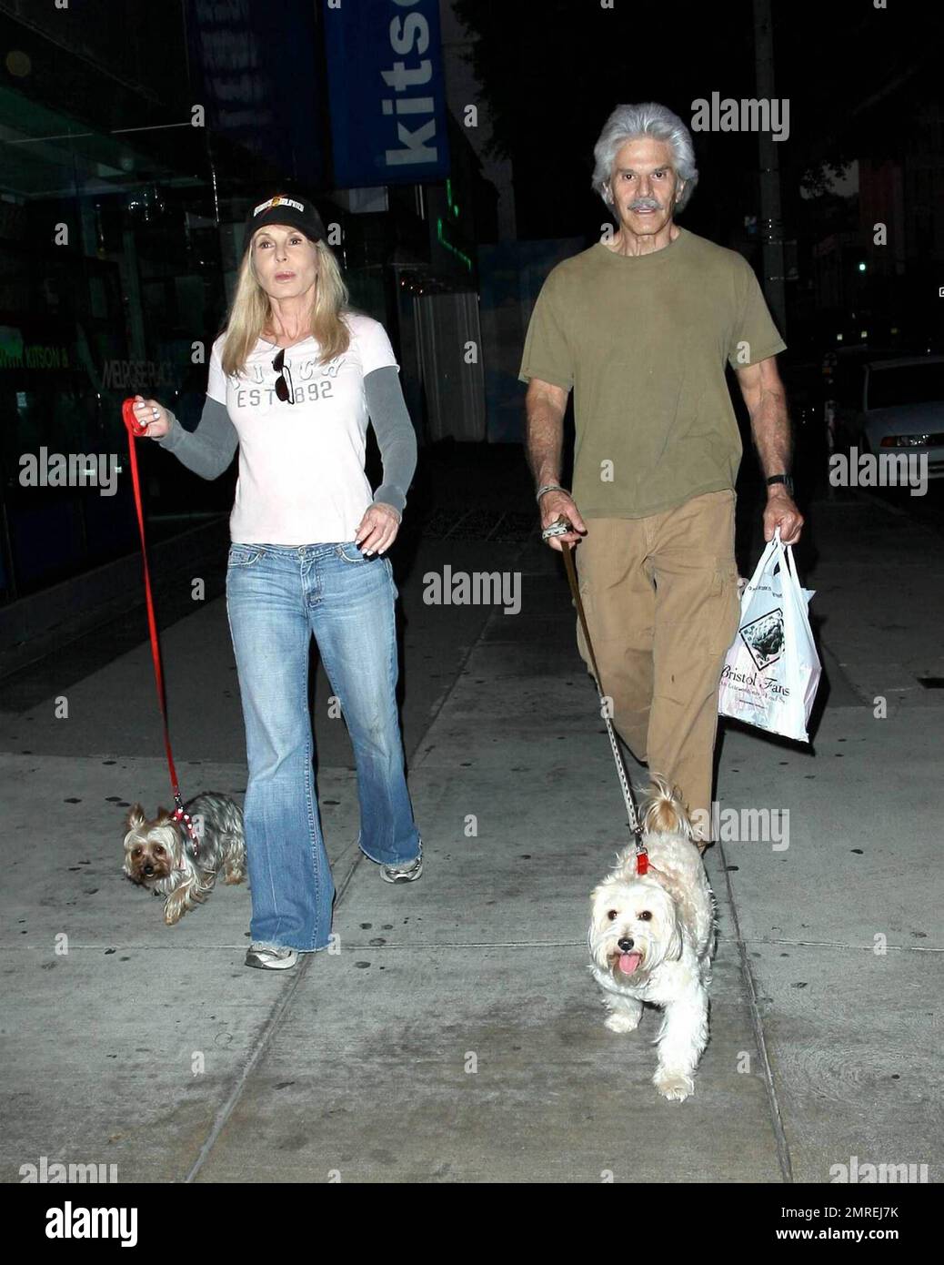 Mexican actor of Spanish descent Jorge Rivero walks his dogs with a ...