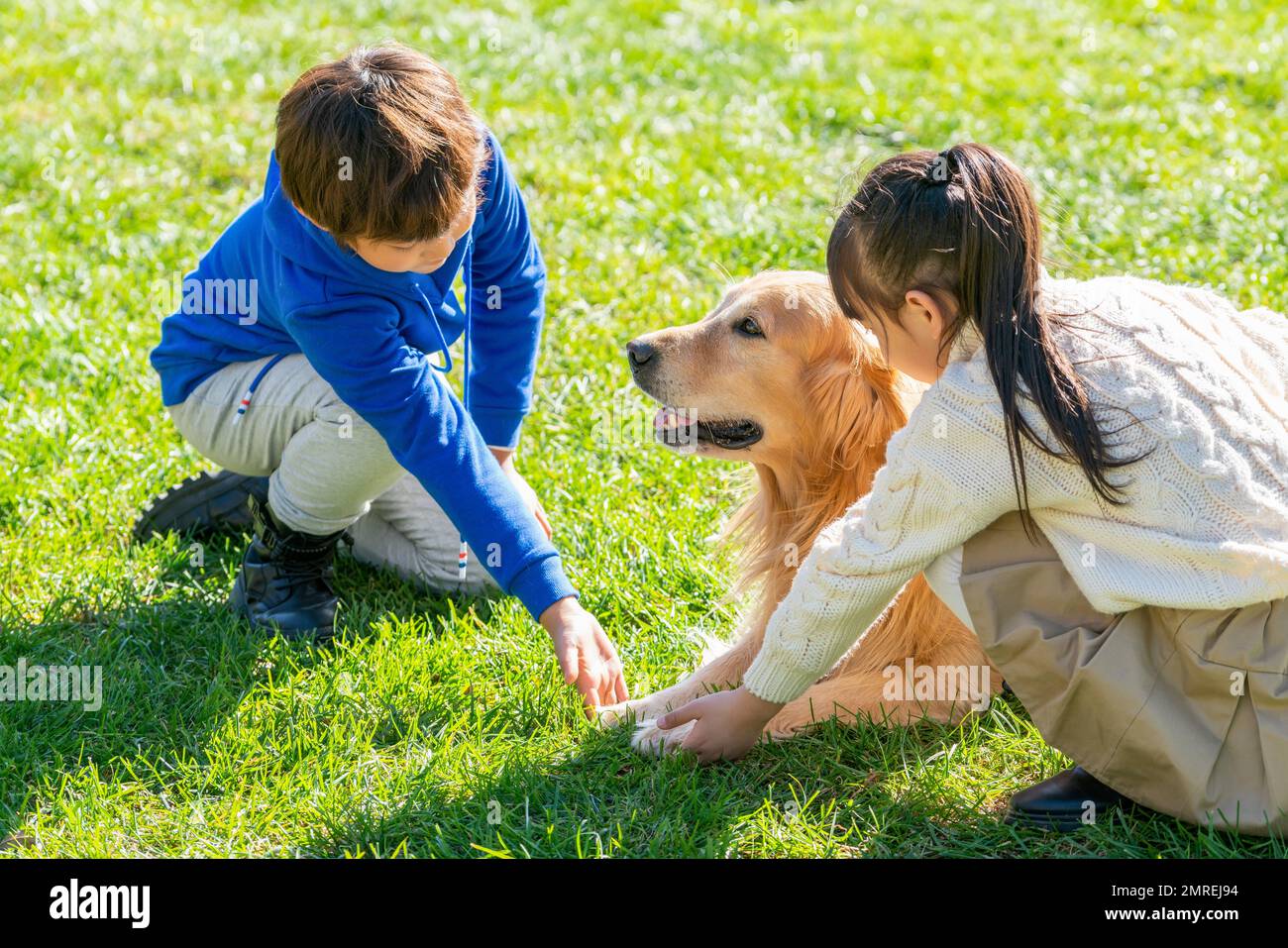 Brother and sister to play with the dog Stock Photo - Alamy