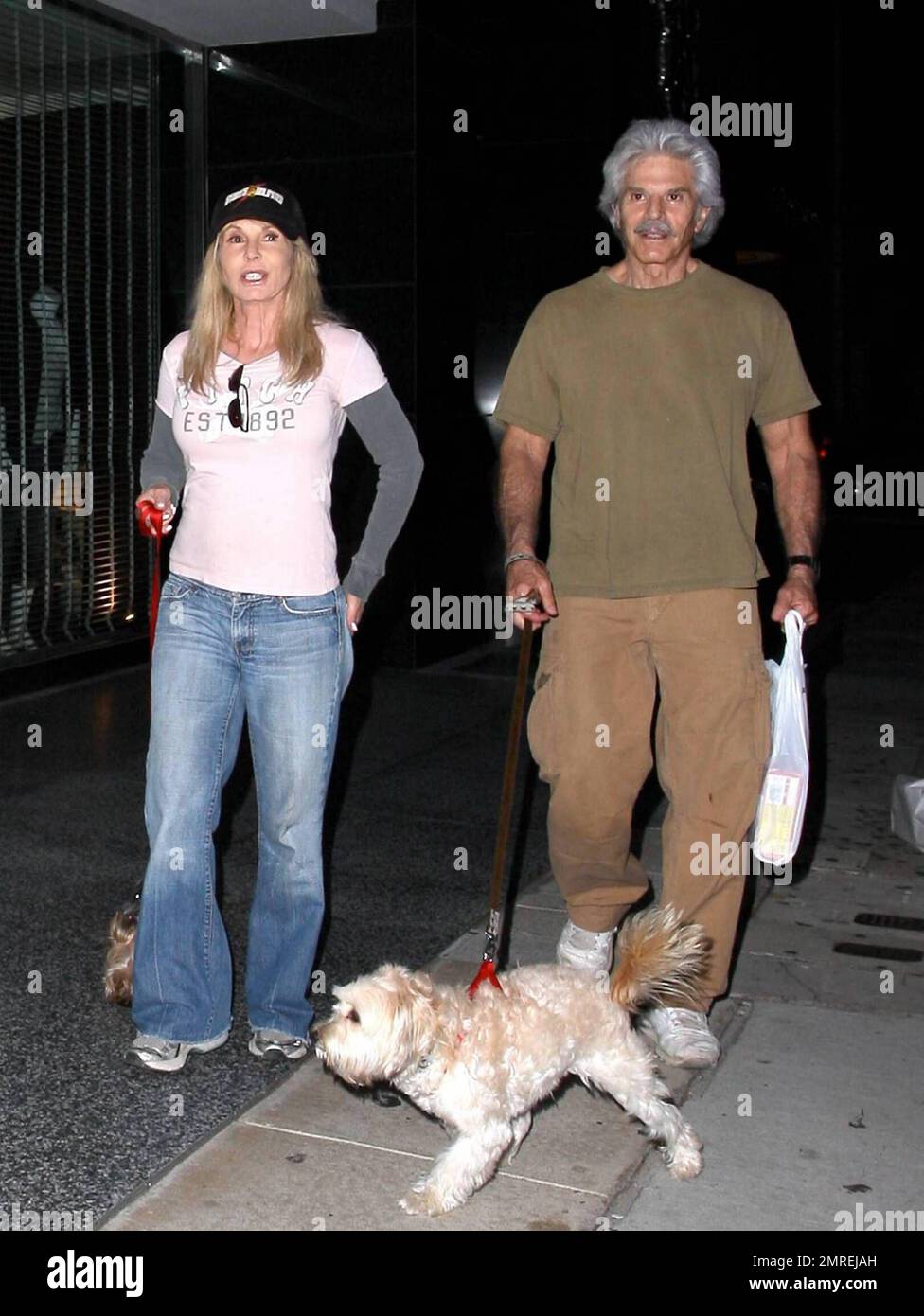 Mexican actor of Spanish descent Jorge Rivero walks his dogs with a ...