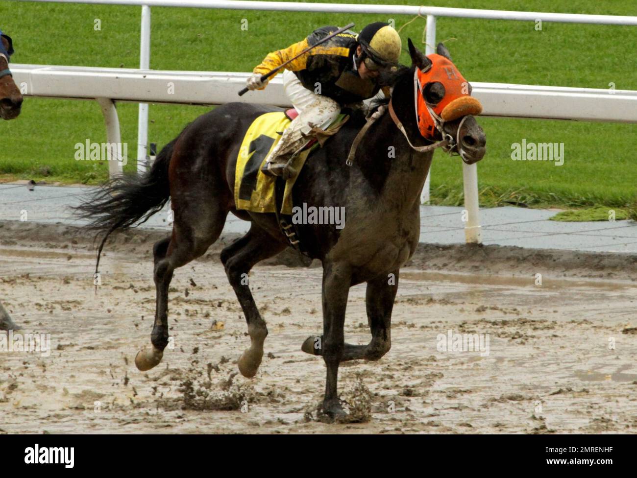 Kayla stra hi-res stock photography and images - Alamy
