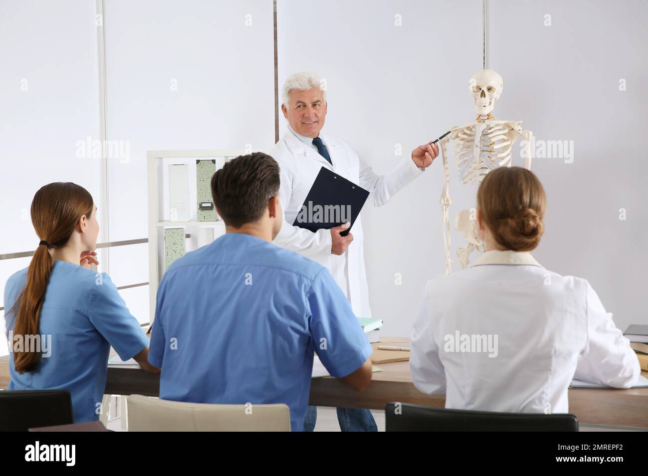Medical students and professor studying human skeleton anatomy in ...